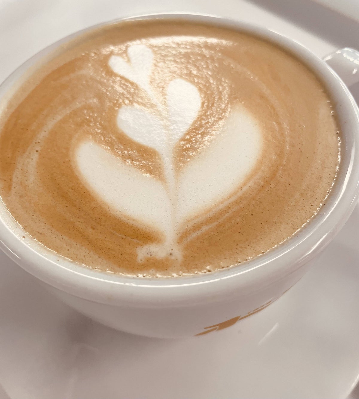 Europa Pastries & Coffee Shop | Europa Pastries & Coffee | Fall River’s ...